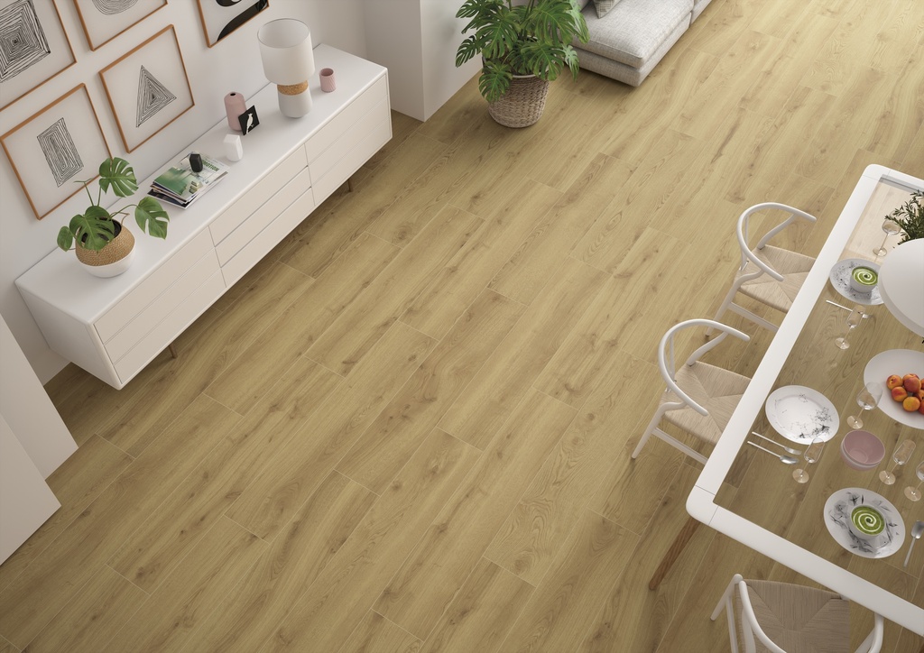 Algord Natural 9x48 Indoor/Outdoor by KTL Ceramica